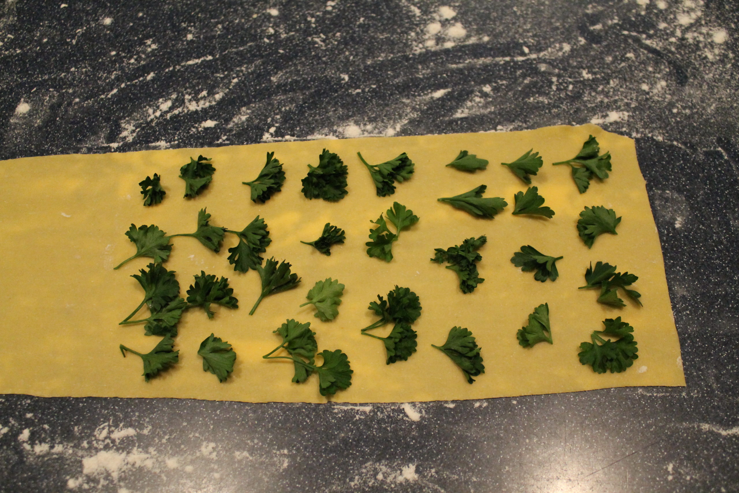 Laminated Pasta - Explore Italy and Beyond