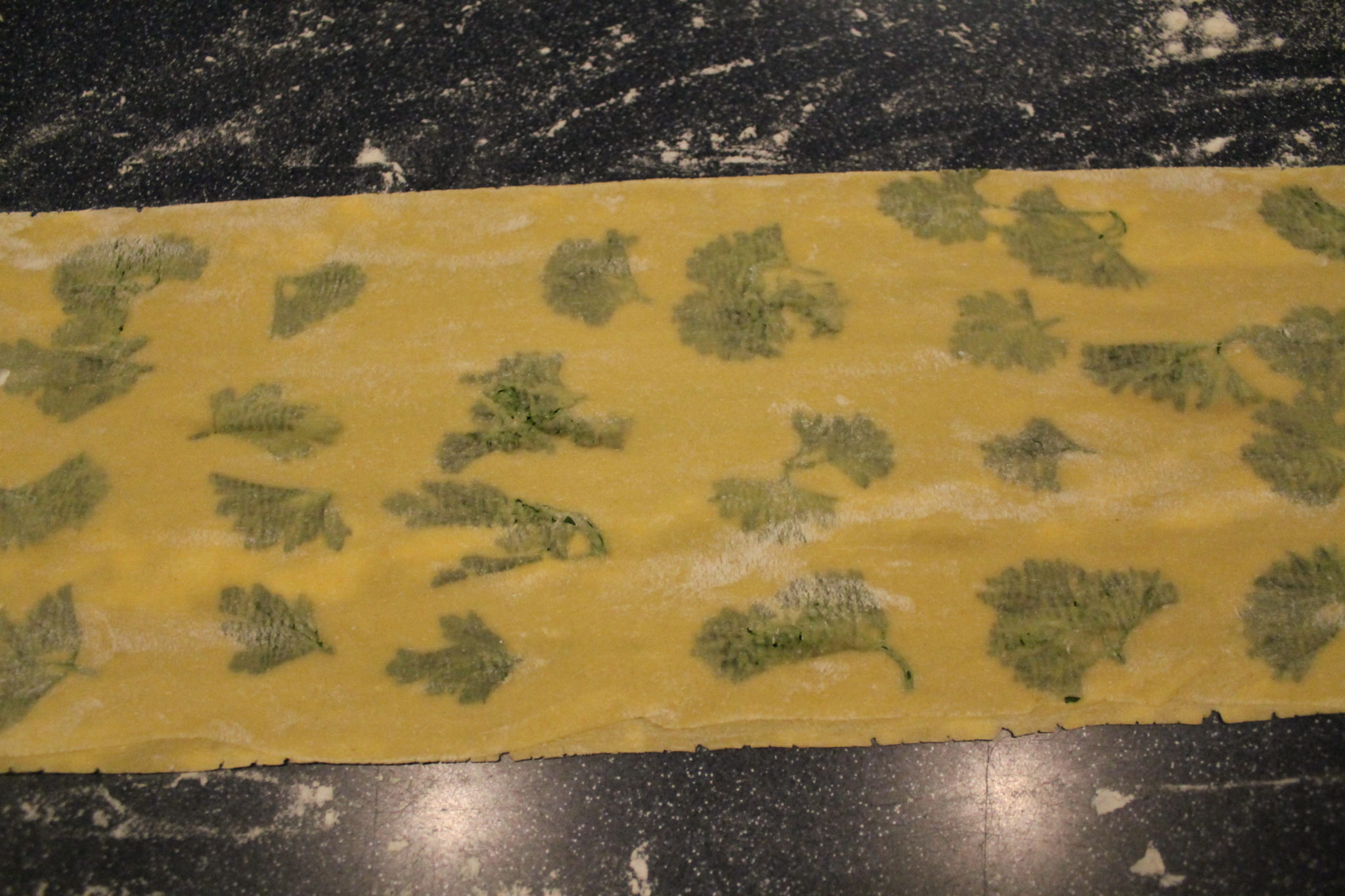Laminated Pasta - Explore Italy and Beyond